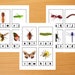 Insect Beginning Letter Sound Clip Cards| Printable Digital Download ...