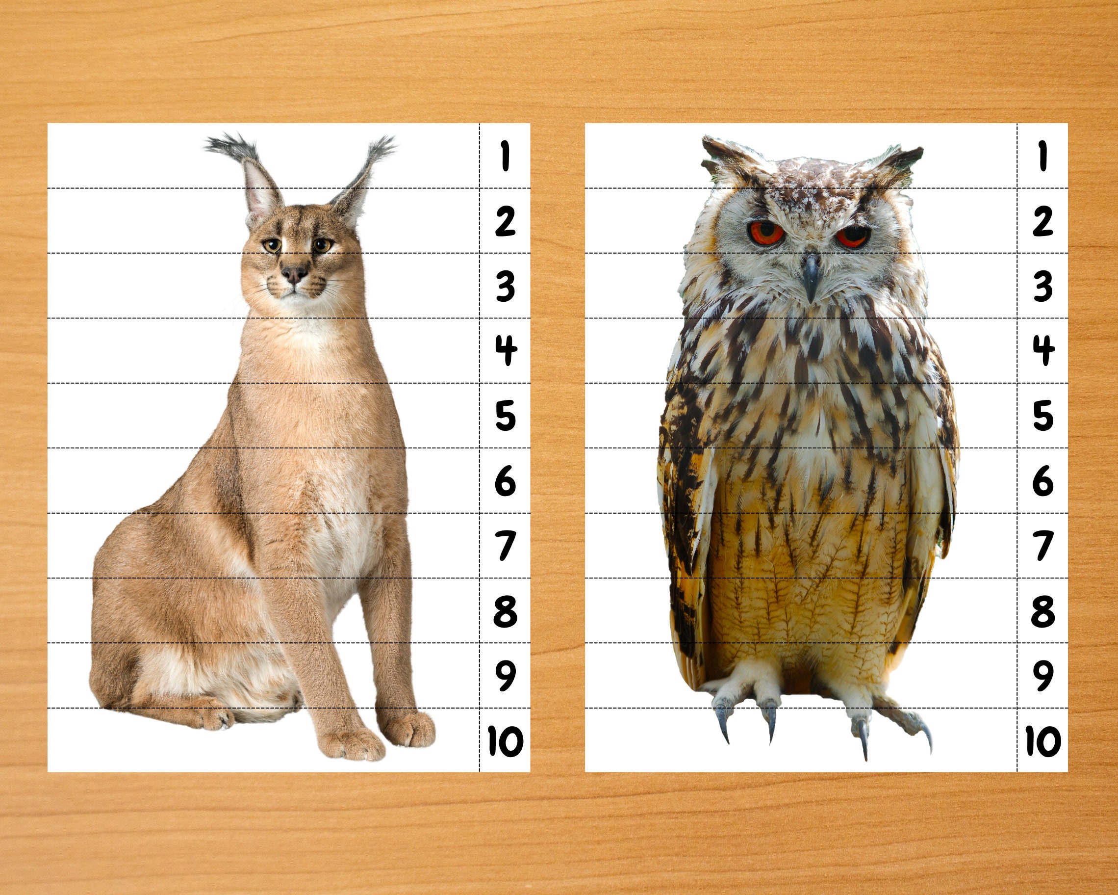 Woodland Animals Number Sequence Puzzles| Child Inspired Printables ...