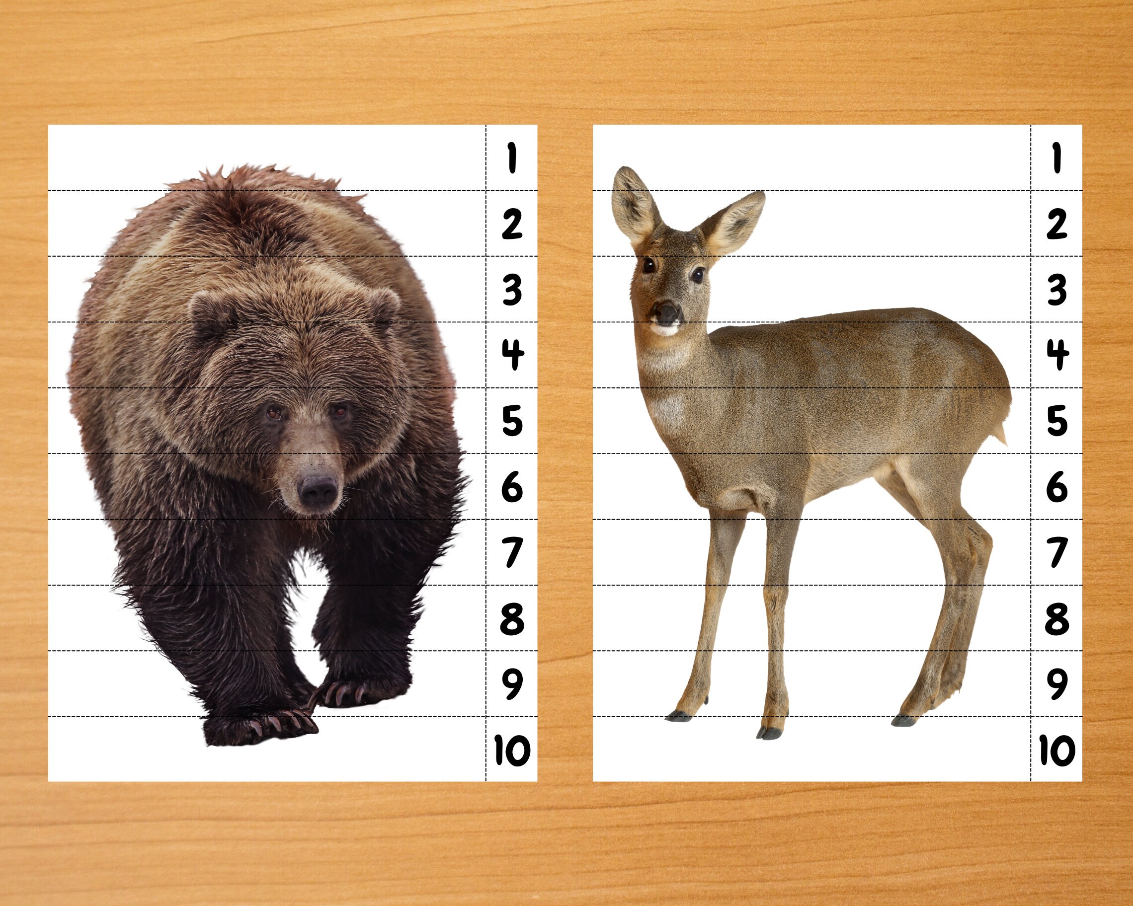 Woodland Animals Activity Bundle Child Inspired Printables Digital ...