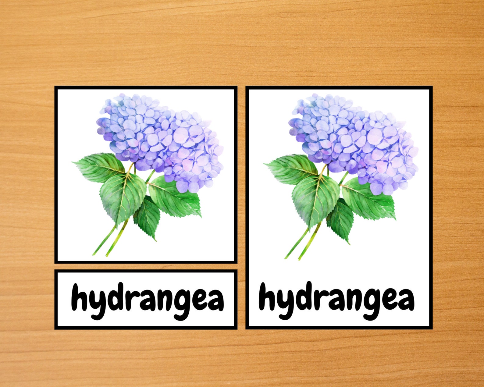 Flower Theme 3 Part Cards| Printable Digital Download| Montessori ...