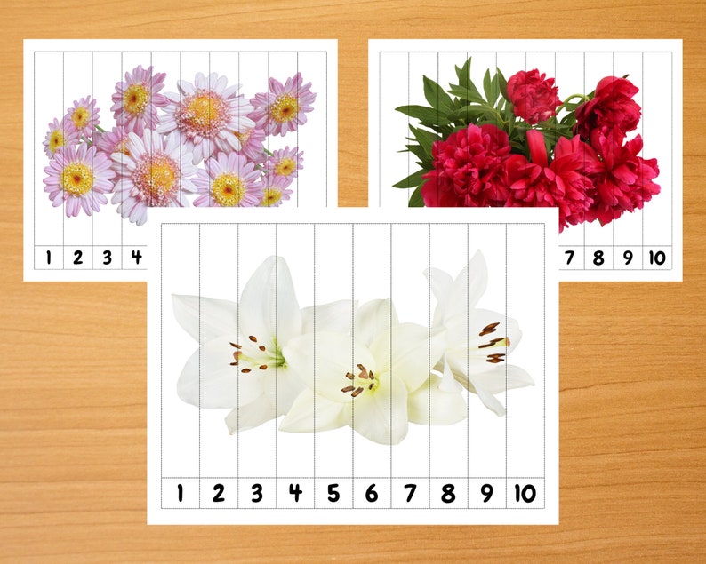 Flower Number Sequence Puzzles| Child Inspired Printables| Digital ...
