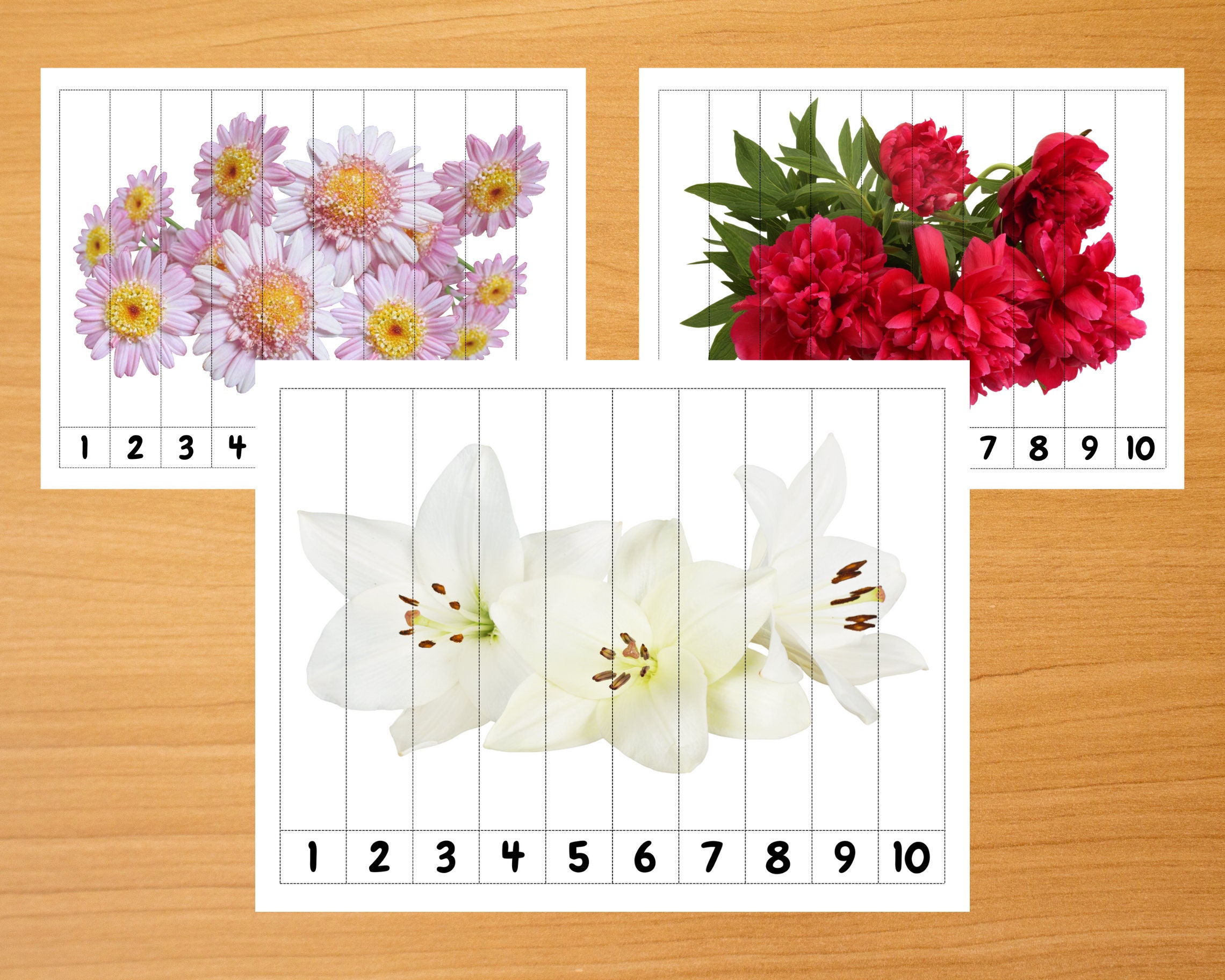 Flower Number Sequence Puzzles| Child Inspired Printables| Digital ...
