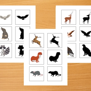 Woodland Animals Shadow Matching Cards| Child Inspired Printables ...
