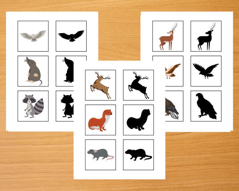 Woodland Animals Shadow Matching Cards| Child Inspired Printables ...