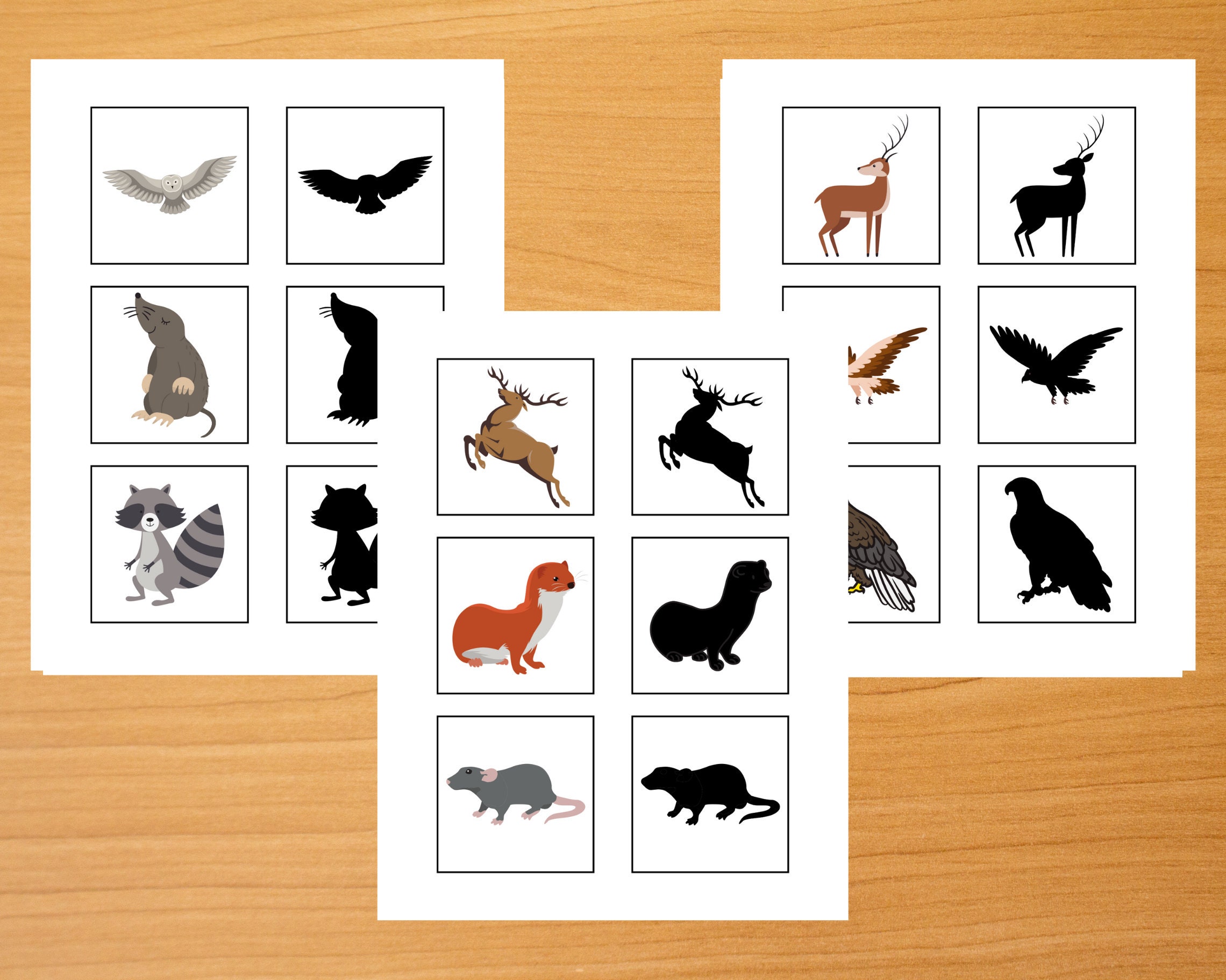 Woodland Animals Shadow Matching Cards| Child Inspired Printables ...