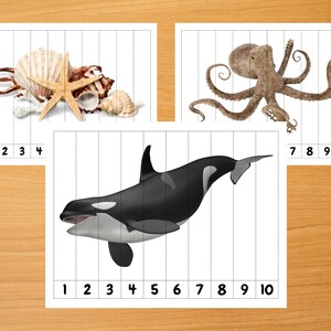 Ocean Animals Number Sequence Puzzles| Child Inspired Printables ...