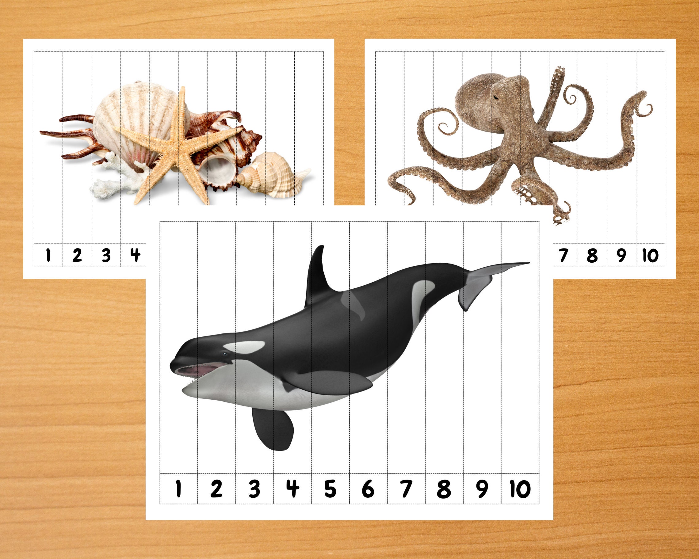 Ocean Animals Number Sequence Puzzles| Child Inspired Printables ...