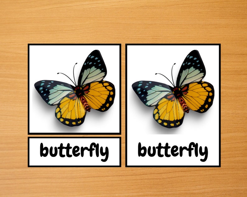 Insects Theme 3 Part Cards| Printable Digital Download| Montessori ...