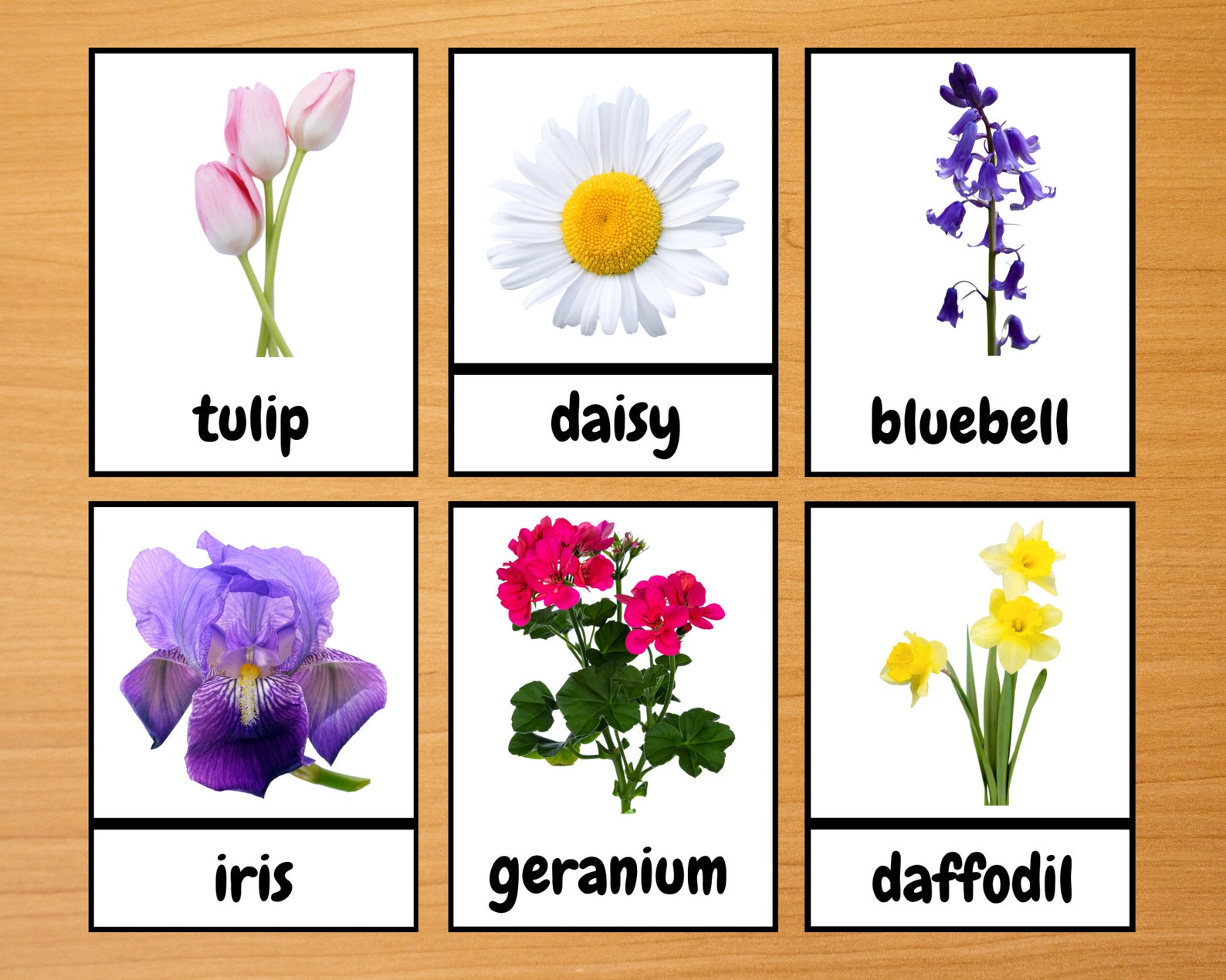 Flower Theme 3 Part Cards| Printable Digital Download| Montessori ...