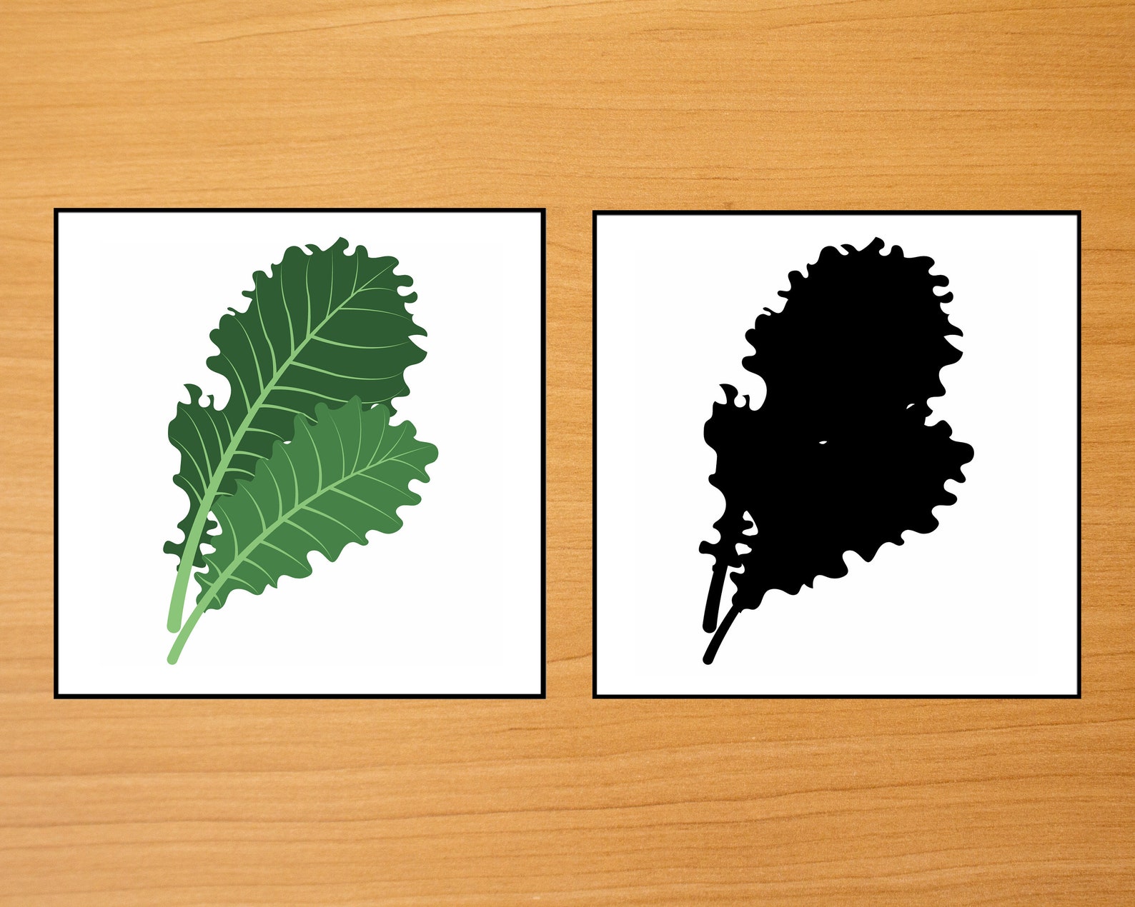 Vegetables Shadow Matching Cards Printable Digital Download| Montessori ...