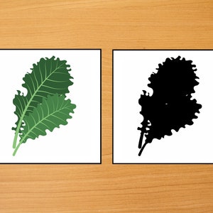 Vegetables Shadow Matching Cards Printable Digital Download| Montessori ...