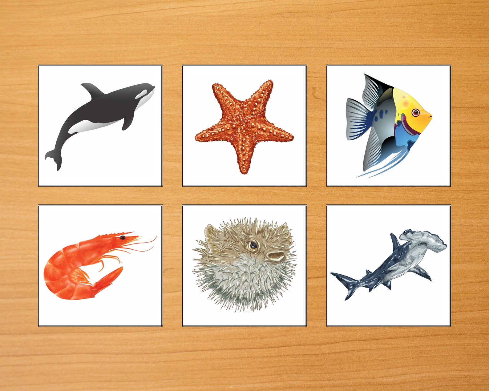 Ocean Animals Bingo Digital Download Printable Play Based Activity ...