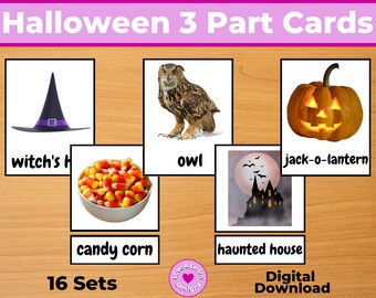 Camping Theme 3 Part Cards Printable Digital Download Montessori ...