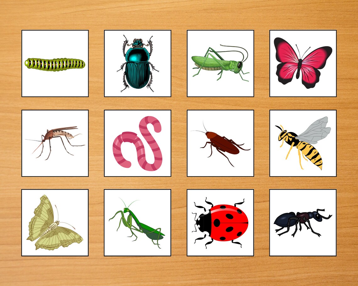 Insects I Spy Matching Game Digital Download| Printable Play Based ...