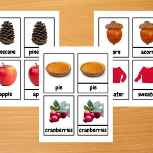 Autumn 3 Part Cards| Child Inspired Printable| Digital Download ...
