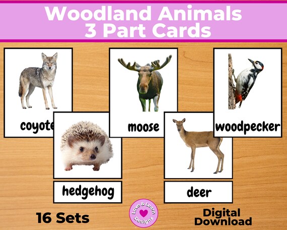 Woodland Animals 3 Part Cards Child Inspired Printable - Etsy