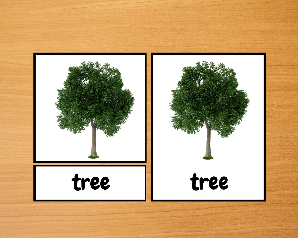 Nature Theme 3 Part Cards Printable Digital Download Montessori ...