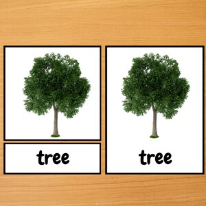 Nature Theme 3 Part Cards| Printable Digital Download| Montessori ...