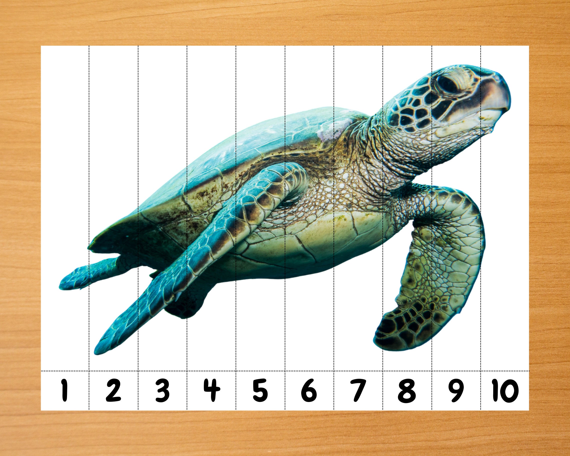 Ocean Animals Number Sequence Puzzles| Child Inspired Printables ...
