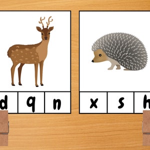 Woodland Animals Activity Bundle| Child Inspired Printables| Digital ...