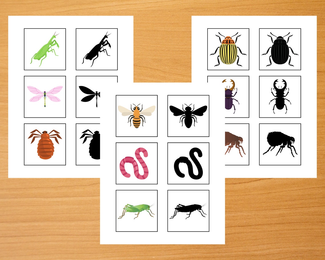 Insect Shadow Matching Cards Printable Digital Download Montessori ...