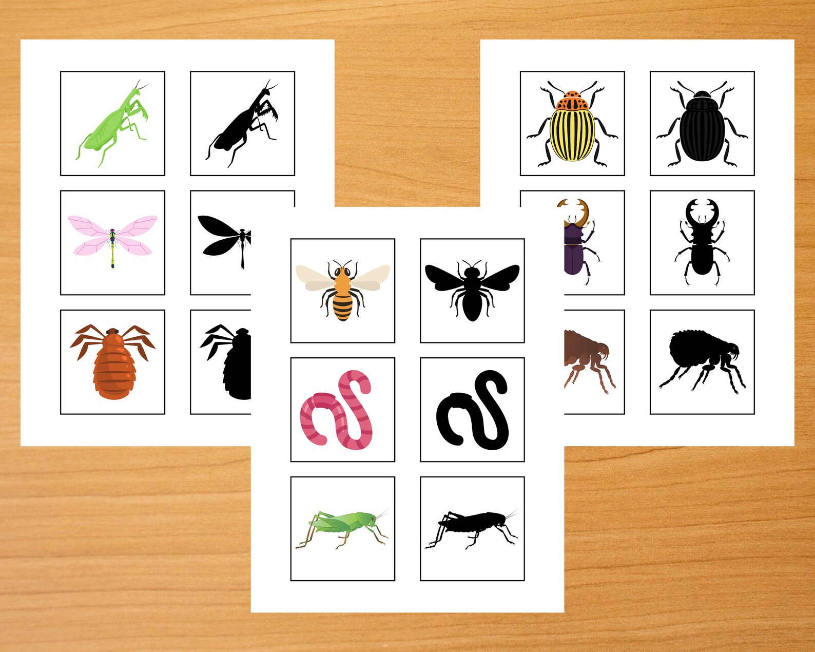Insect Shadow Matching Cards Printable Digital Download| Montessori ...