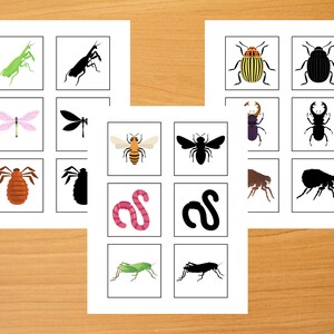 Insect Shadow Matching Cards Printable Digital Download| Montessori ...