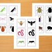 Insect Shadow Matching Cards Printable Digital Download| Montessori ...