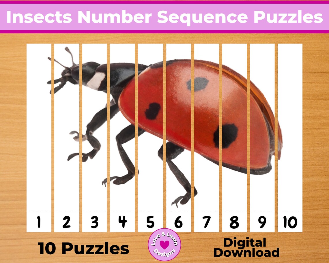 Insects Number Sequence Puzzles| Child Inspired Printables| Digital ...