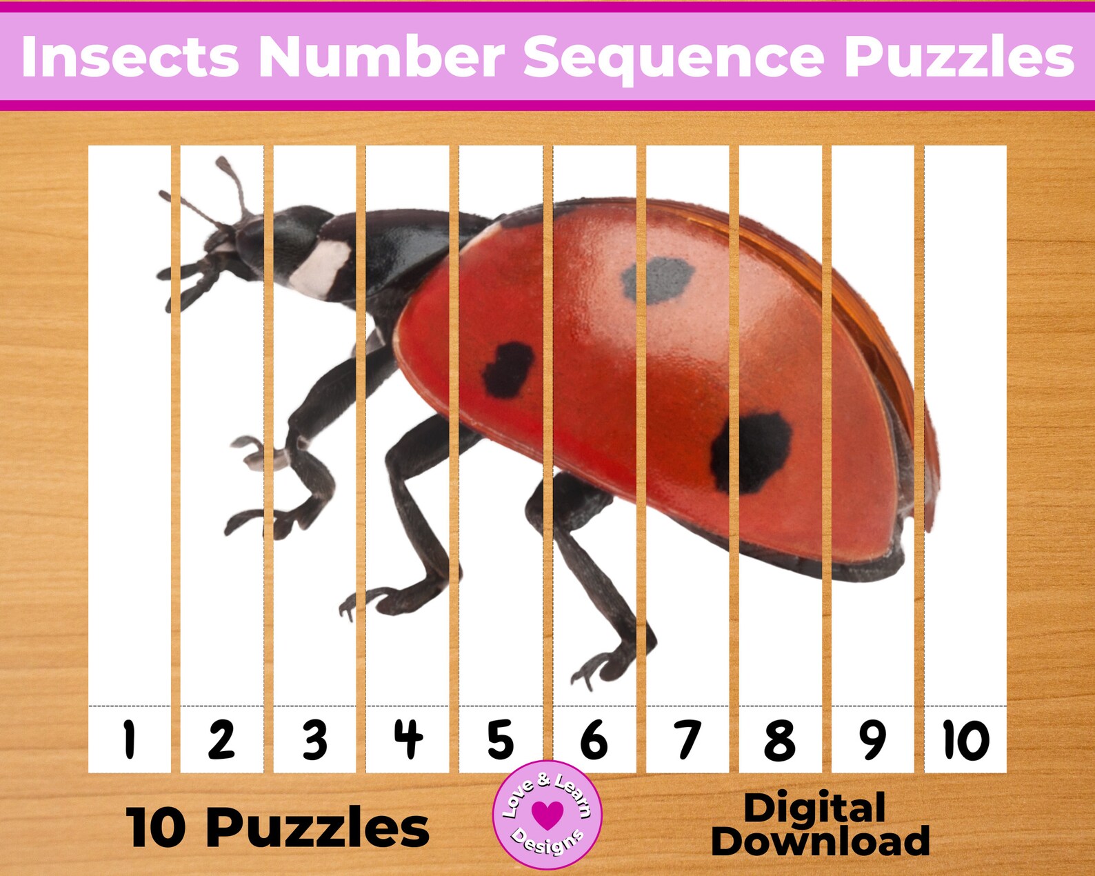Insects Number Sequence Puzzles| Child Inspired Printables| Digital ...