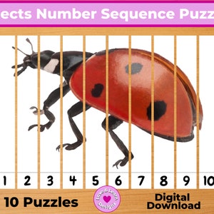 Insects Number Sequence Puzzles| Child Inspired Printables| Digital ...