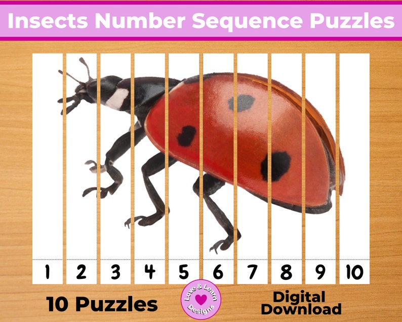 Insects Number Sequence Puzzles| Child Inspired Printables| Digital ...