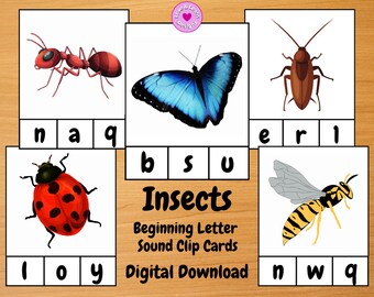 Family Beginning Letter Sound Clip Cards Printable Digital - Etsy