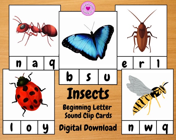 Insect Beginning Letter Sound Clip Cards Printable Digital - Etsy