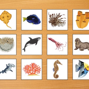Ocean Animals I Spy Matching Game| Digital Download| Printable Play ...