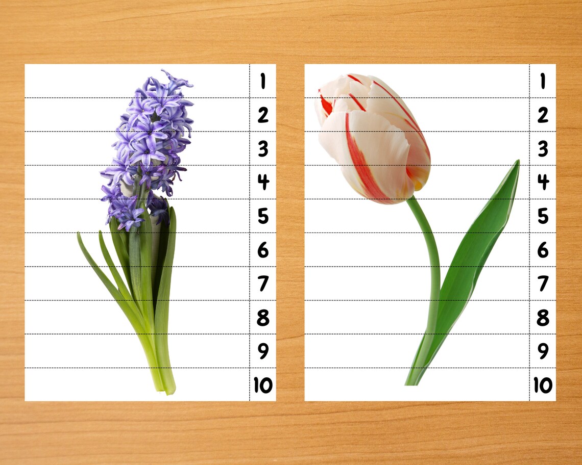 Flower Number Sequence Puzzles Child Inspired Printables Digital ...
