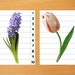 Flower Number Sequence Puzzles| Child Inspired Printables| Digital ...