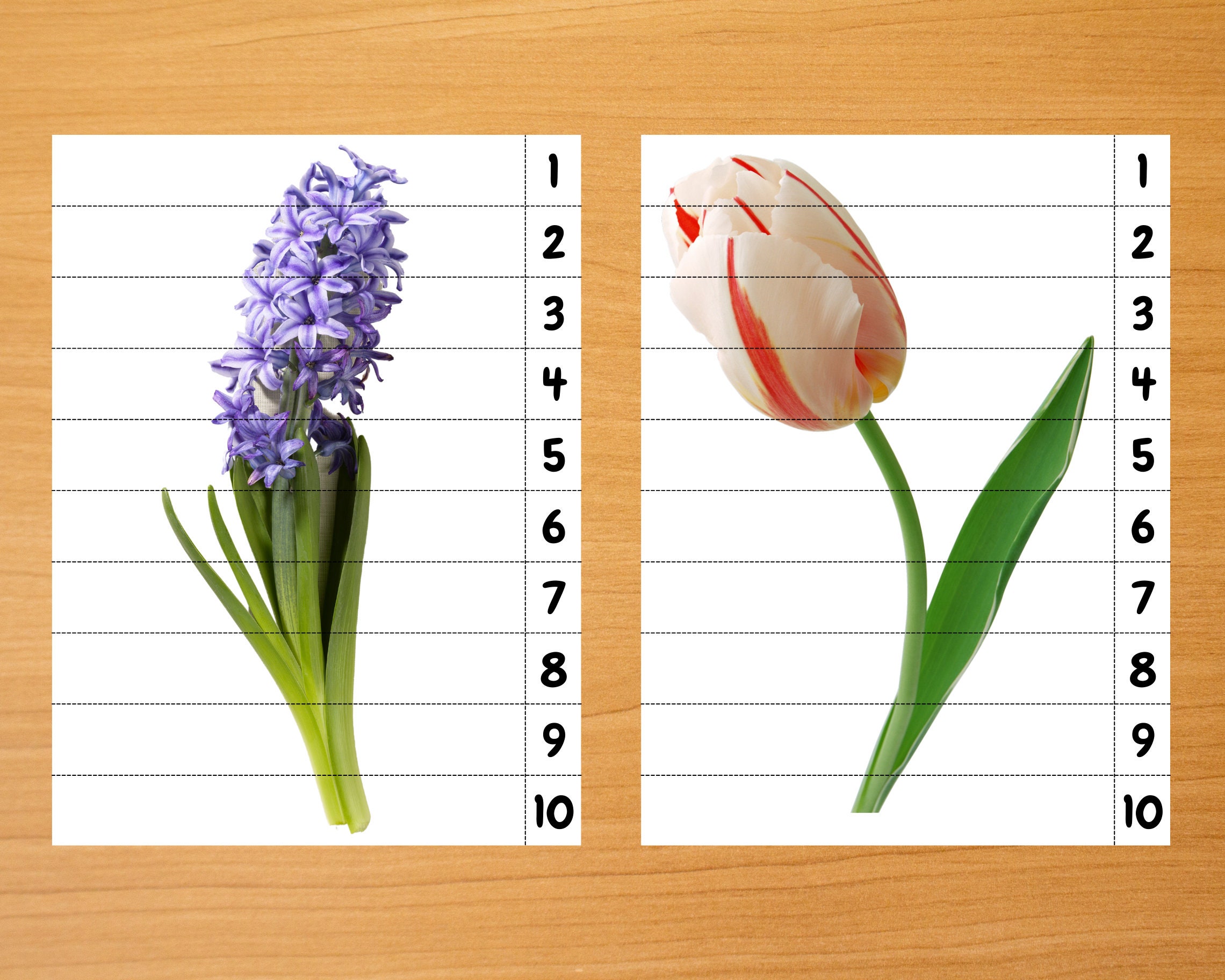 Buy Flower Number Sequence Puzzles Child Inspired Printables Digital ...