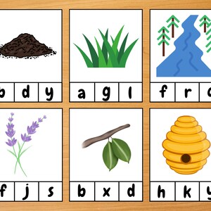 Nature Beginning Letter Sound Clip Cards| Printable Digital Download ...