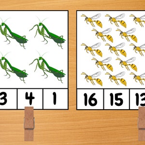 Insects Count and Clip Cards| Printable Digital Download| Montessori ...