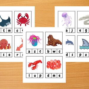 Ocean Animals Beginning Letter Sound Clip Cards| Printable Digital ...