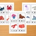 Ocean Animals Beginning Letter Sound Clip Cards| Printable Digital ...