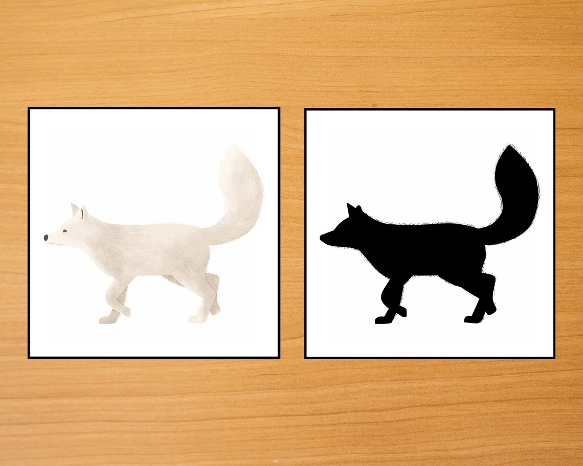 Polar Animals Shadow Matching Cards| Child Inspired Printables| Digital ...