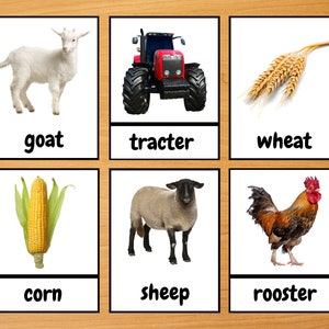 Farm 3 Part Cards| Child Inspired Printable| Educational Digital ...
