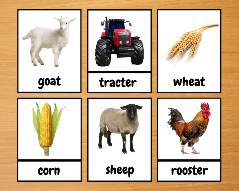 Farm 3 Part Cards| Child Inspired Printable| Educational Digital ...