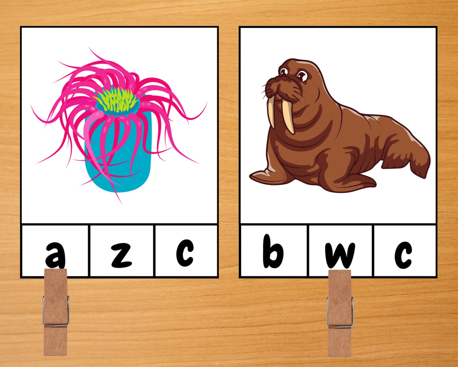 Ocean Animals Beginning Letter Sound Clip Cards| Printable Digital ...