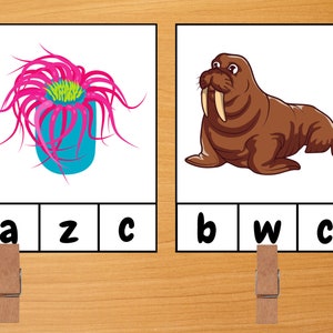Ocean Animals Beginning Letter Sound Clip Cards| Printable Digital ...