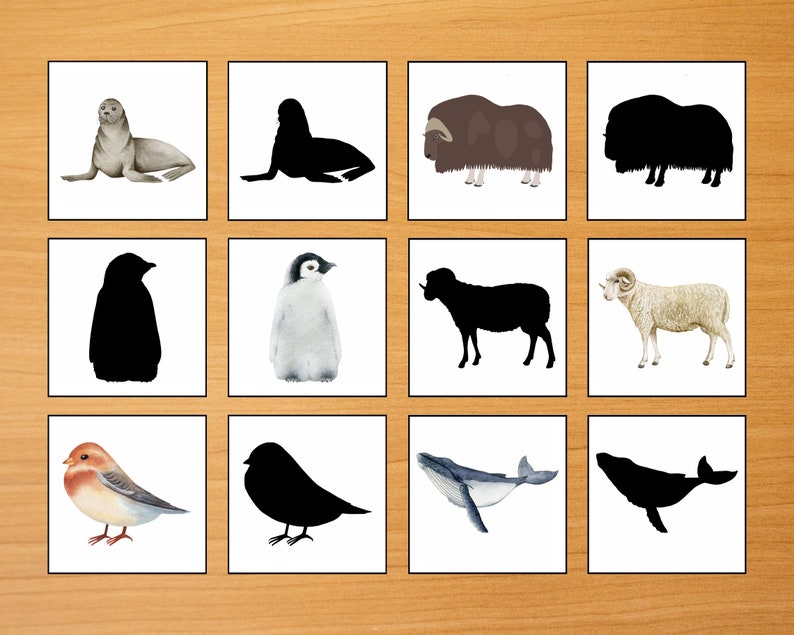 Polar Animals Shadow Matching Cards| Child Inspired Printables| Digital ...