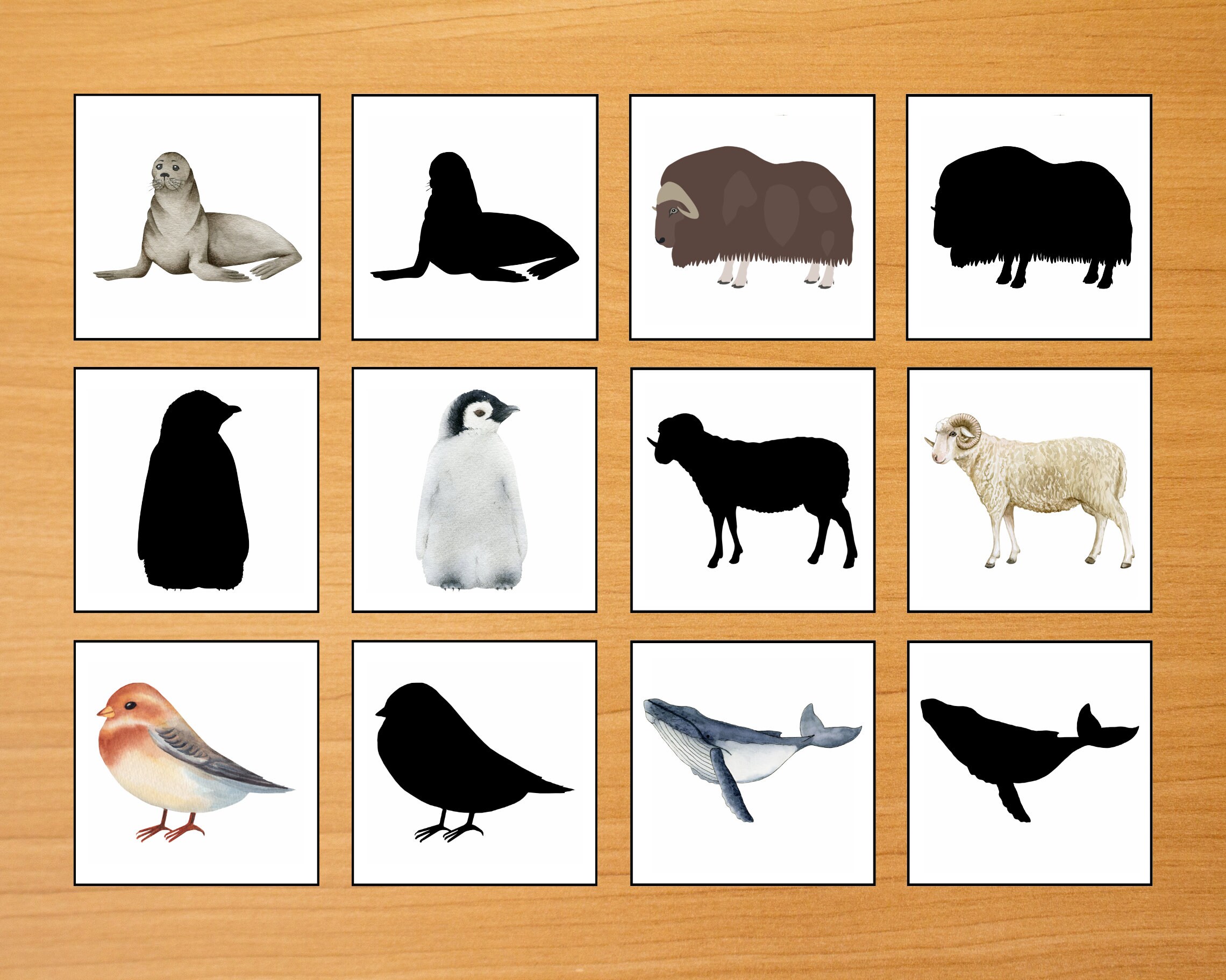 Polar Animals Shadow Matching Cards| Child Inspired Printables| Digital ...