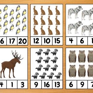 Woodland Animals Count and Clip Cards| Child Inspired Printables ...